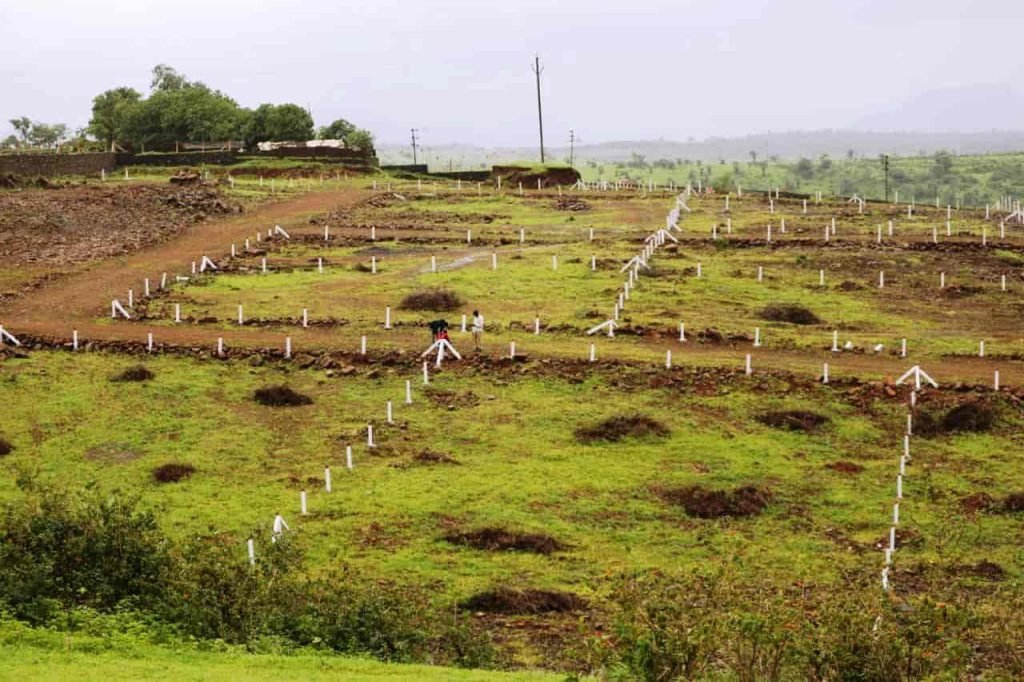 plots_fencing - Plots On